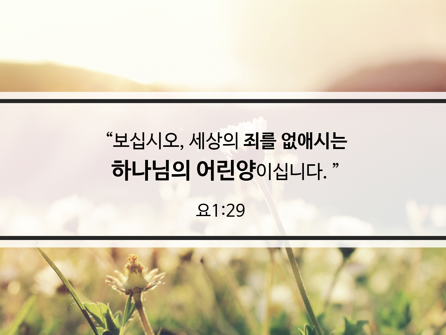 성경진리사역원(BTMK) | [PT] 그리스도의 구속