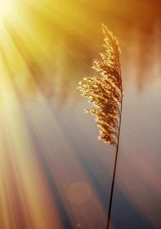 성경진리사역원(BTMK) | 서울전시간 온라인훈련 제27기생 모집 안내