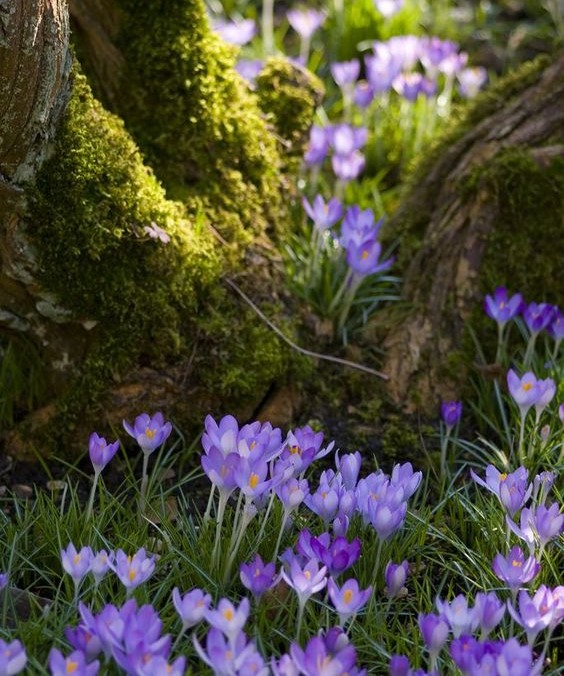 성경진리사역원(BTMK) | 2022년 전국 청년‧직장인 확대 봉사자 섞임 안내