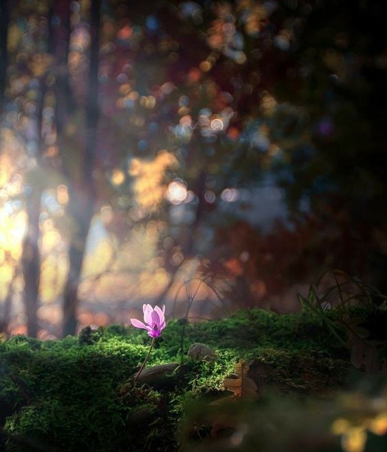 성경진리사역원(BTMK) | 북한 복음화를 위한 기도 제목 - 9월 27일(화)