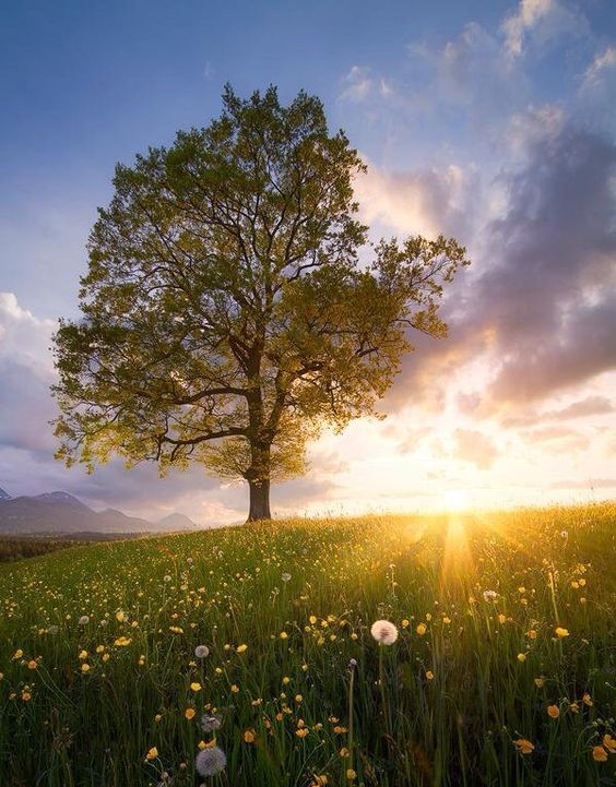 성경진리사역원(BTMK) | 2022년 서울전시간훈련 3년차 훈련생 강화훈련 안내