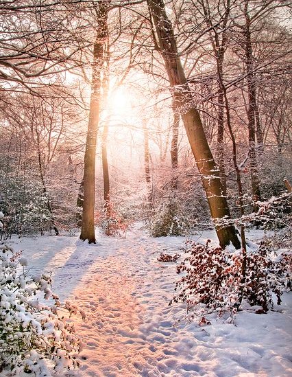 성경진리사역원(BTMK) | 2022년 겨울 훈련집회 안내