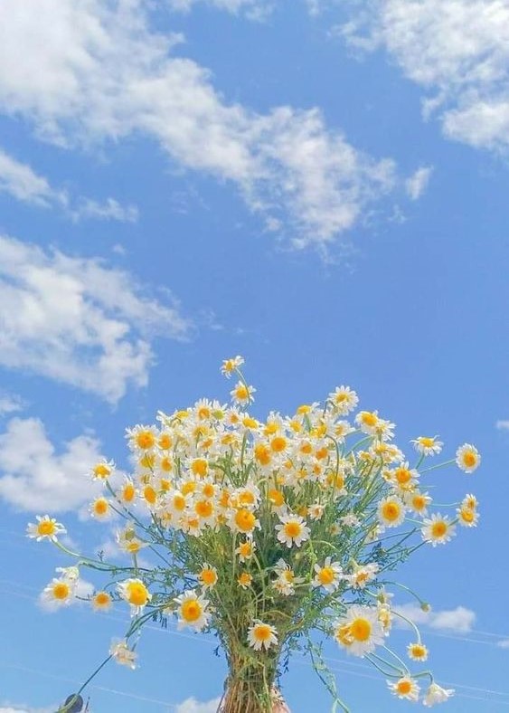 성경진리사역원(BTMK) | 거듭남이란 무엇인가?