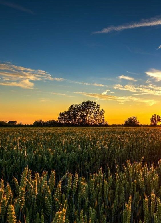 성경진리사역원(BTMK) | 2022년 4차, 서울전시간 3년차 훈련생 강화훈련 안내