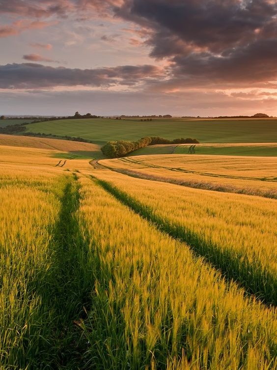 성경진리사역원(BTMK) | 북한 복음화를 위한 기도 제목 - 2월 7일(화)