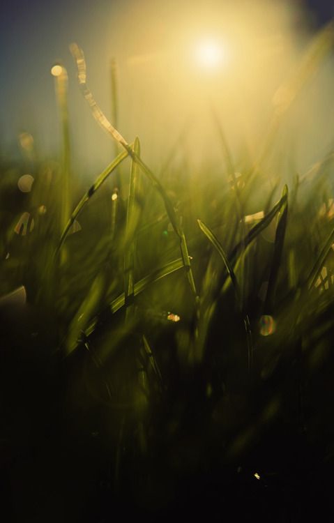 성경진리사역원(BTMK) | 2023년 봄 전국 중고등부 특별집회(권역별 실시)