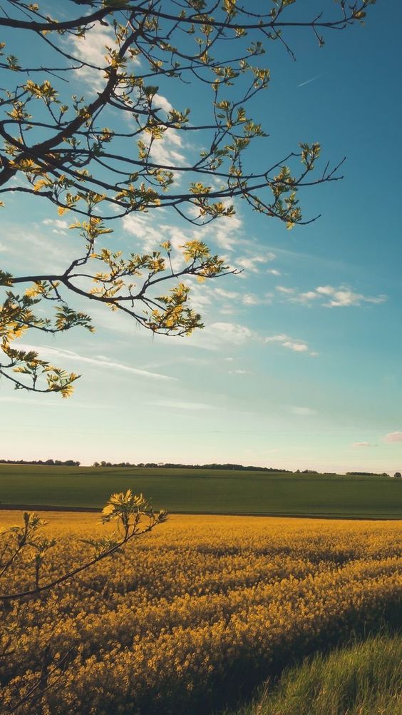 성경진리사역원(BTMK) | 북한 복음화를 위한 기도 제목 - 4월 25일(화)