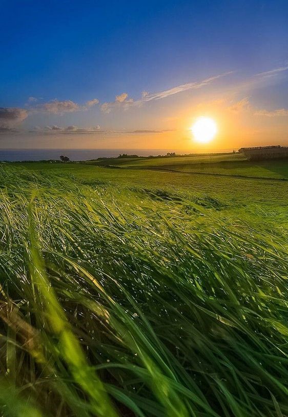 성경진리사역원(BTMK) | 북한 복음화를 위한 기도 제목 - 6월 6일(화)