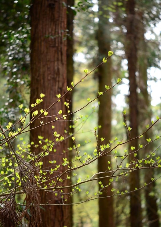 성경진리사역원(BTMK) | 2023년 서울전시간훈련 전반기 예비훈련 안내