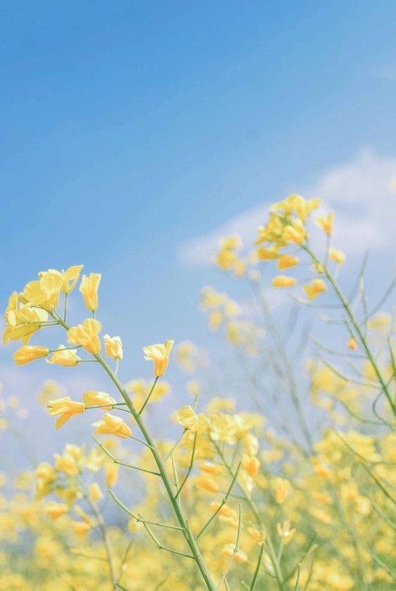 성경진리사역원(BTMK) | 2023년 상반기 ‘하나님께서 정하신 길’ 집회 안내