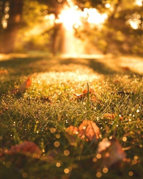 성경진리사역원(BTMK) | 2022년 제3차 전 성도 온전하게 하는 훈련 안내