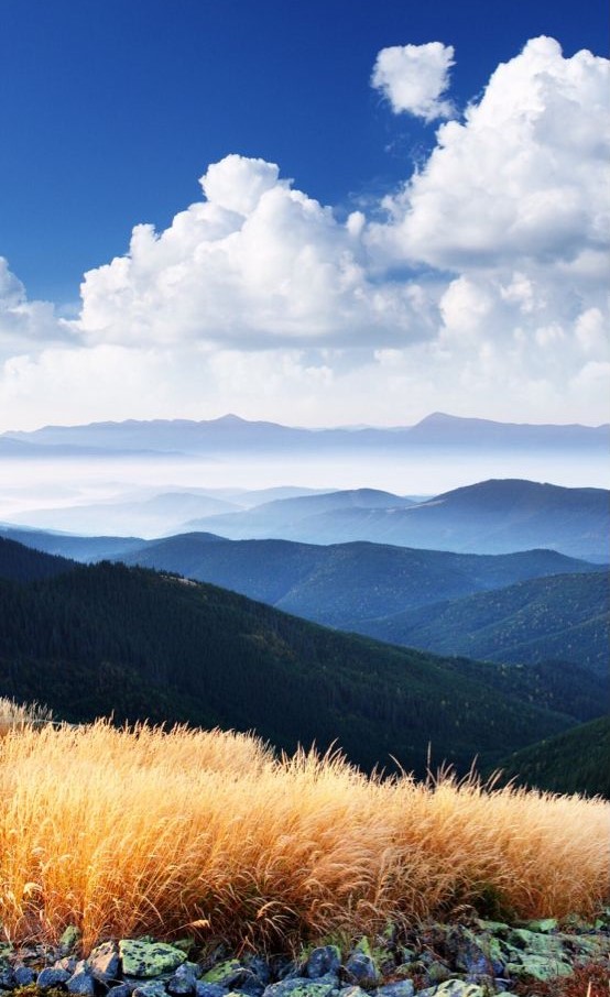 성경진리사역원(BTMK) | 세상의 왕국과 그리스도의 왕국