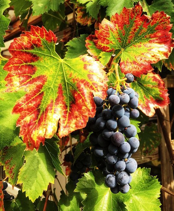 성경진리사역원(BTMK) | 2023년 전반기 전국 어린이 학부모 및 봉사자 집회 안내