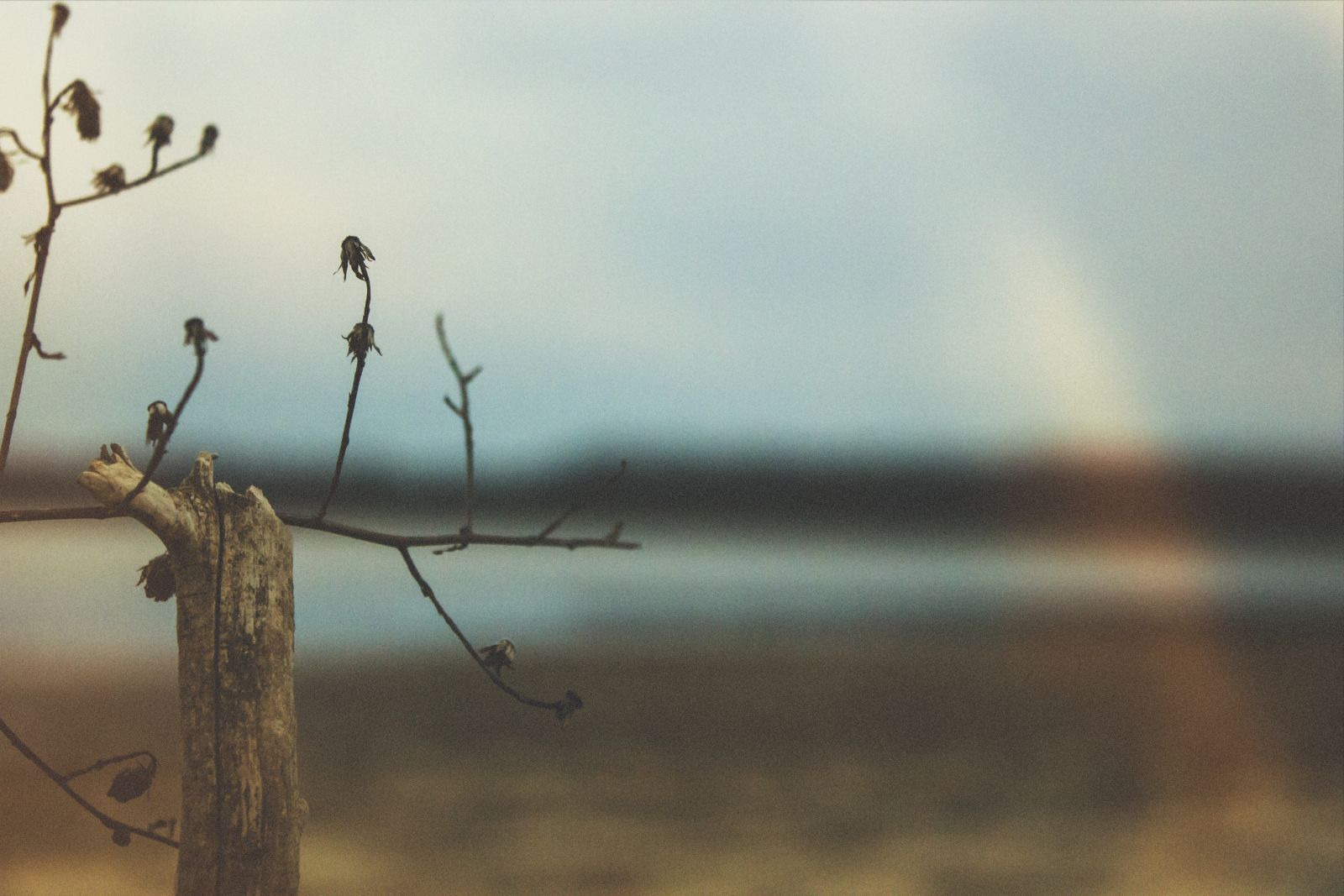 성경진리사역원(BTMK) | 여동생이 보낸 메일